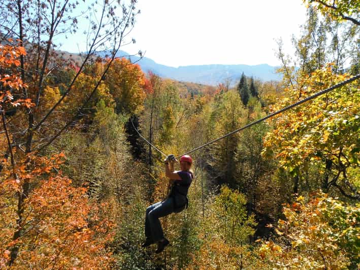 Jeffersonville, VT: ArborTrek Zipline Canopy Tour | GetYourGuide