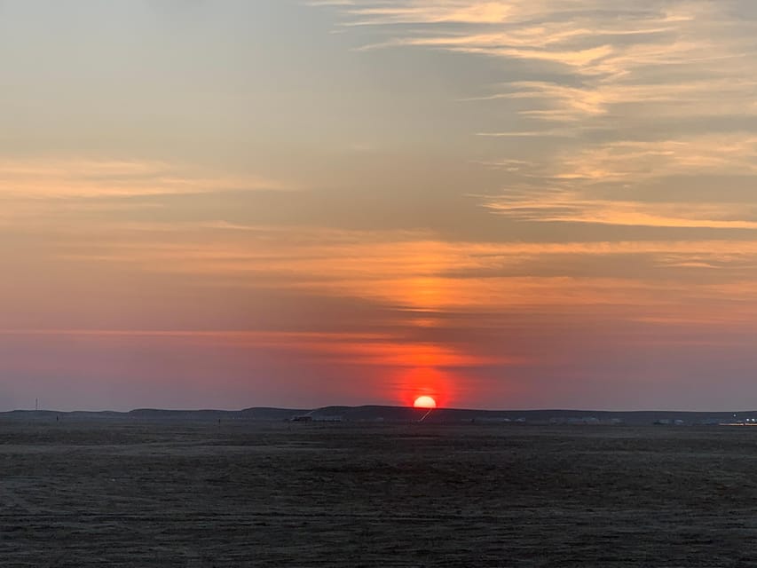 Doha: Safari | Inland Sea Tour | Camel Ride | Sandboarding | GetYourGuide