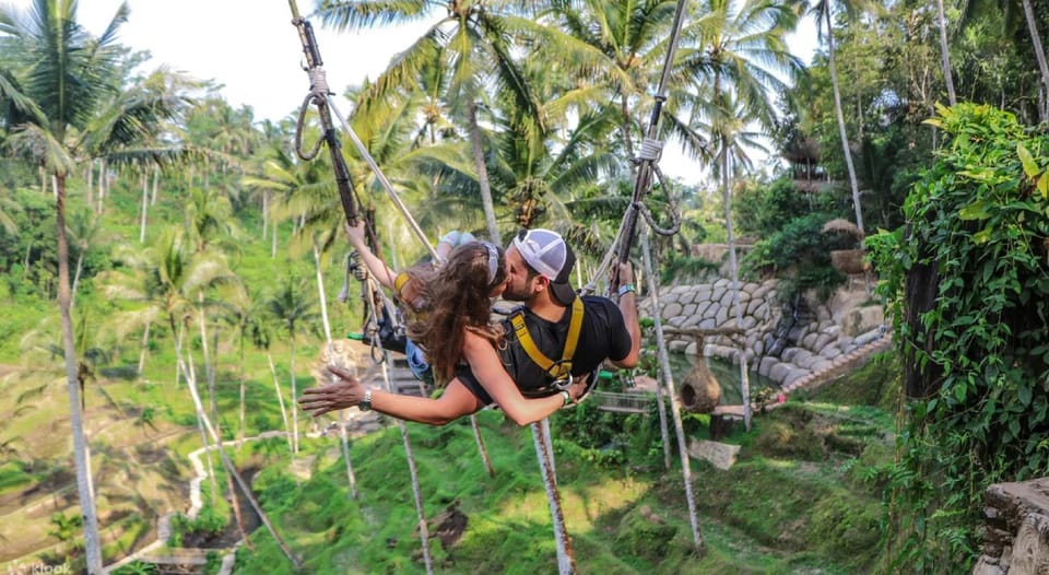 Ubud: Tis Cafe Tegallalang,Alas Harum & Waterfall Day Tour | GetYourGuide