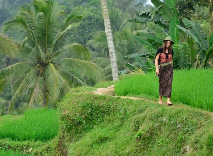 UBUD : Waterfall, Rice Terrace, Temple and Luwak Coffee Tour | GetYourGuide
