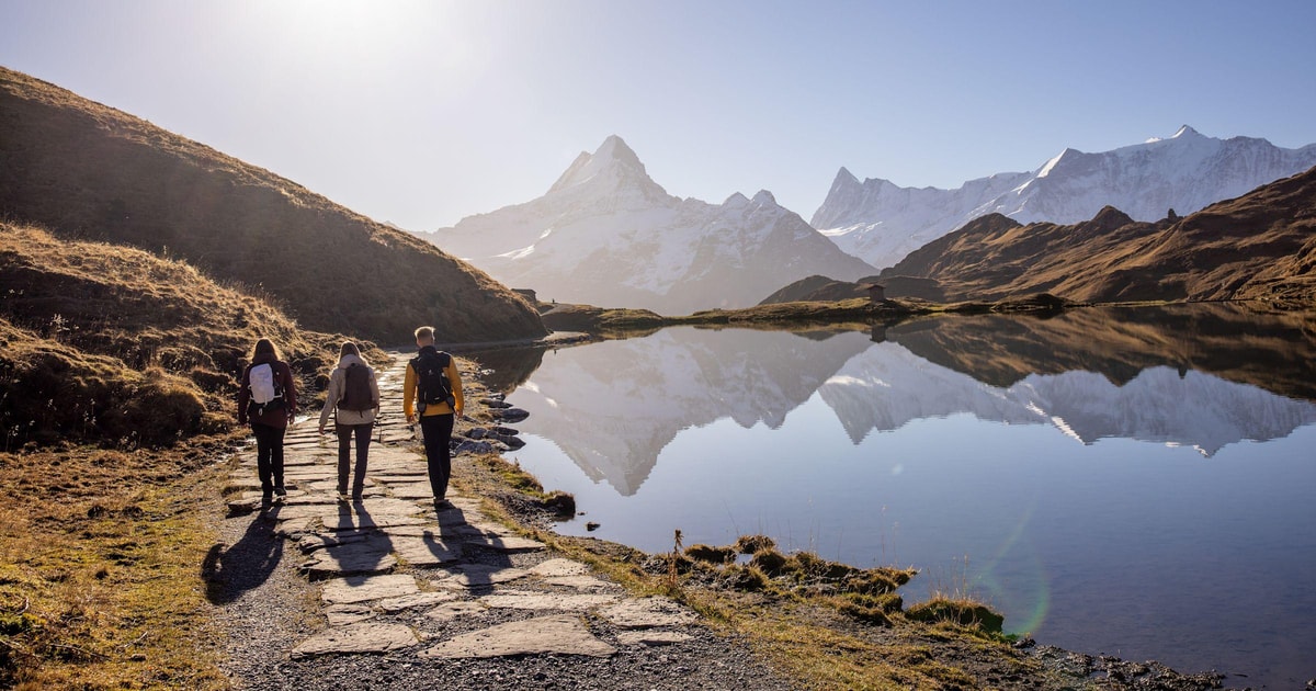 Excursie privată cu ghid la Grindelwald First din Zurich | GetYourGuide