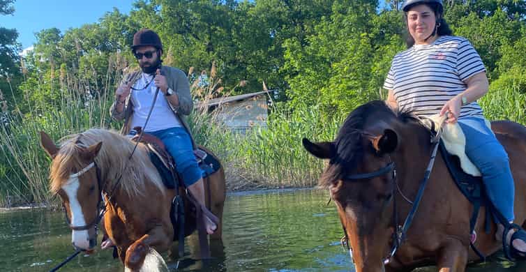 Horseback riding tour near Prague | GetYourGuide