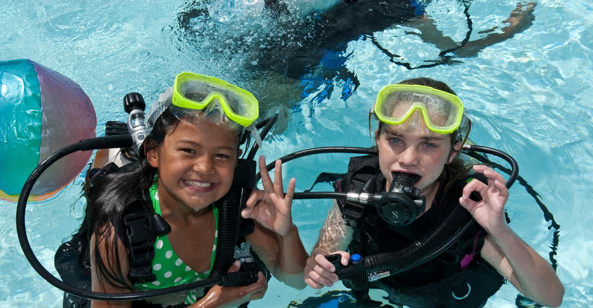 Abu Dhabi Try Scuba Diving program with underwater photos | GetYourGuide