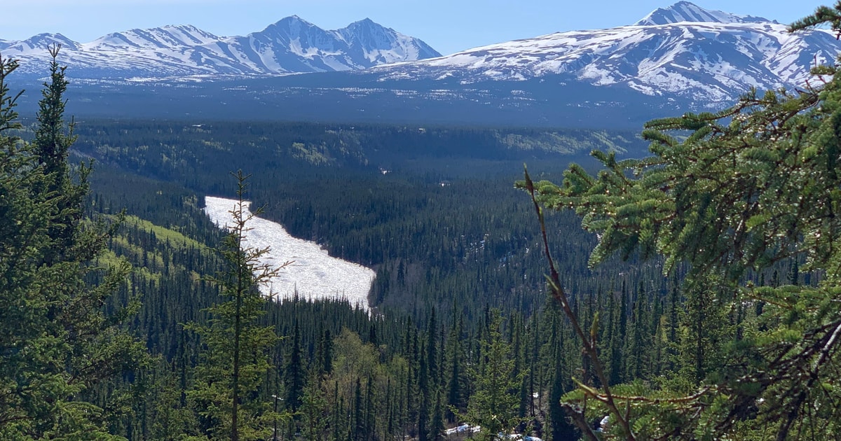 Denali National Park: Triple Lakes Trail Guided Hike | GetYourGuide