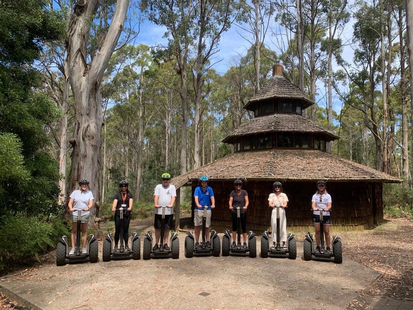 Launceston: Hollybank Forest Guided Segway Tour | GetYourGuide