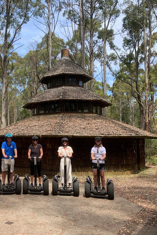 Launceston: Hollybank Forest Guided Segway Tour with Photos | GetYourGuide