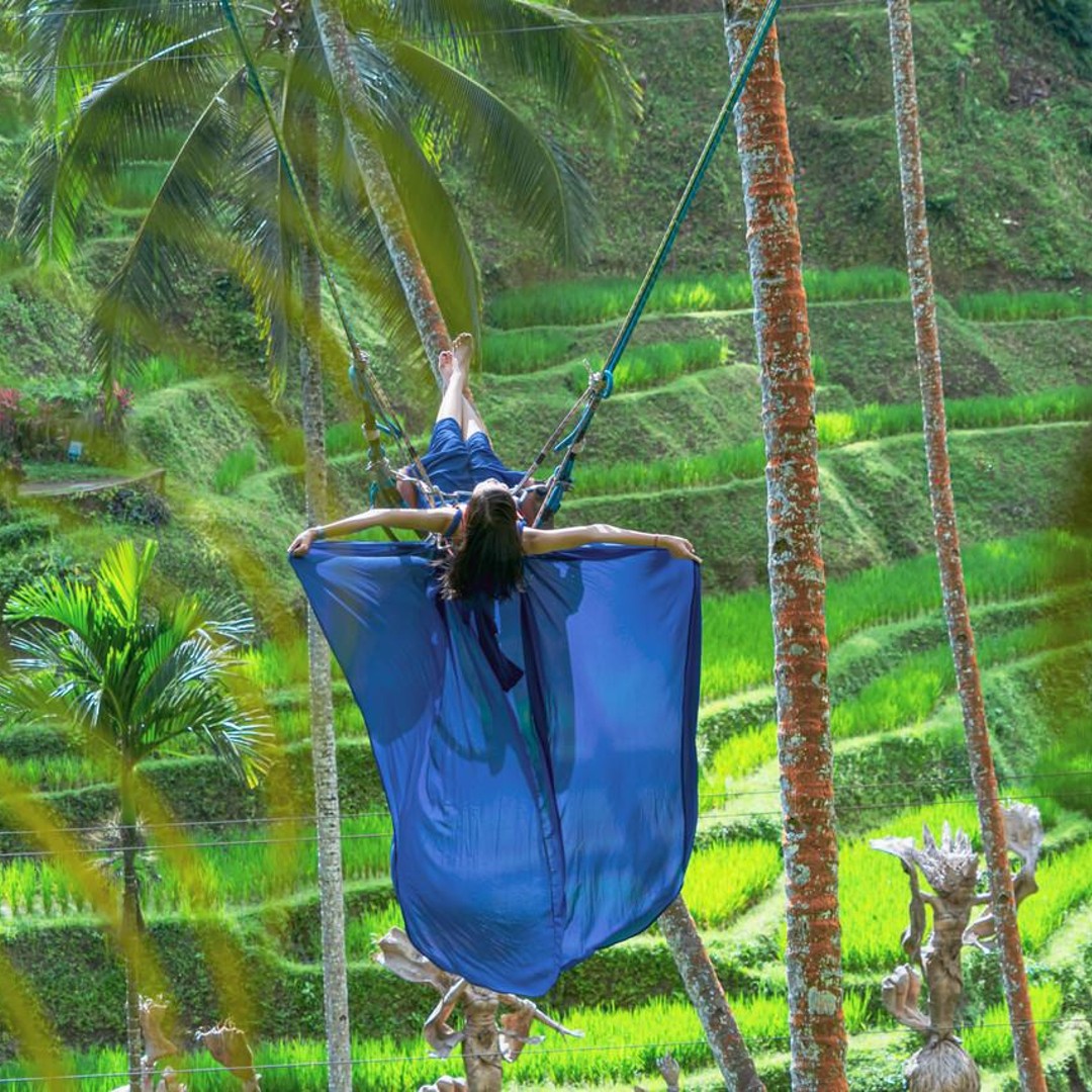 Ubud: Alas Harum Day-Pass, Swing, Sky Bike & Flying Fox | GetYourGuide