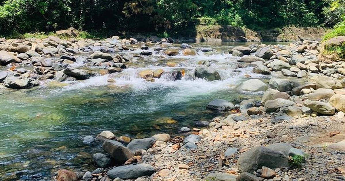 Van de betonnen jungle naar de echte jungle, complete pakketreis ...