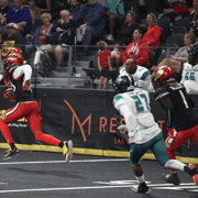 Vegas Knight Hawks - Indoor Football League | GetYourGuide
