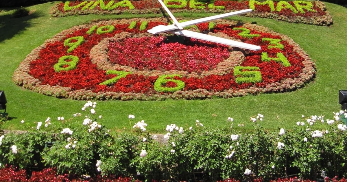 Viña del Mar + Val Paraiso | GetYourGuide