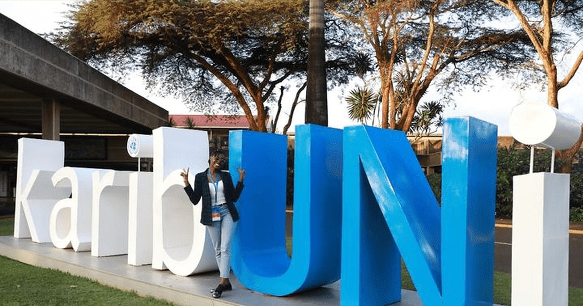 Nairobi:UN Headquarters And Green Building Walking Tours. | GetYourGuide