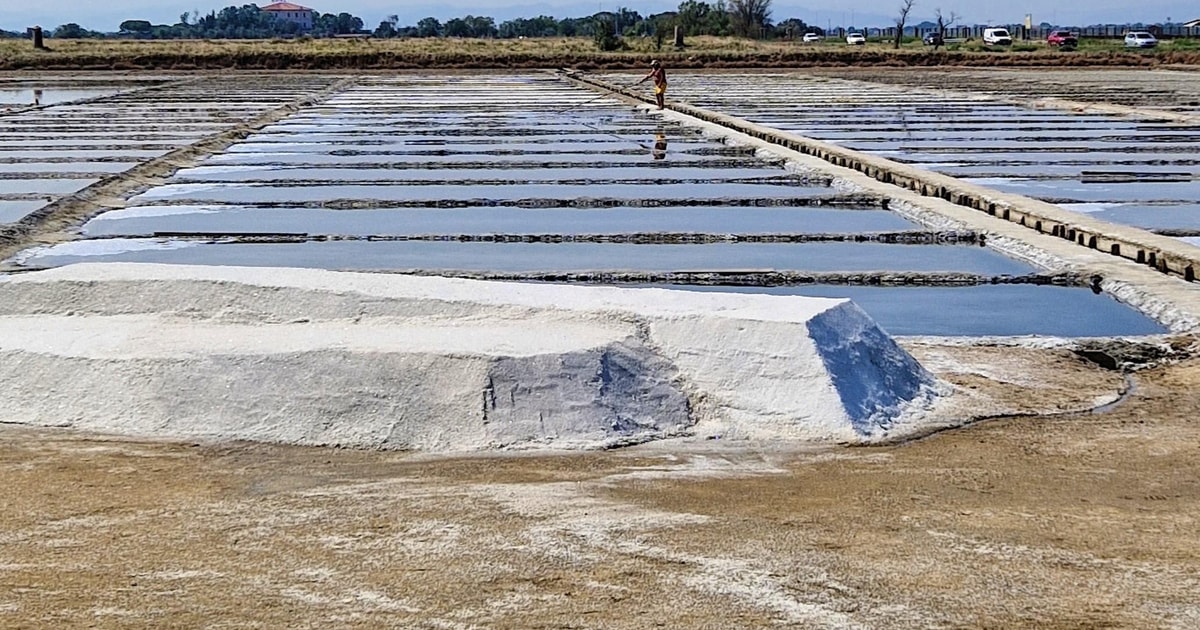 Salina di Cervia: Traces of a roman salt pan | GetYourGuide