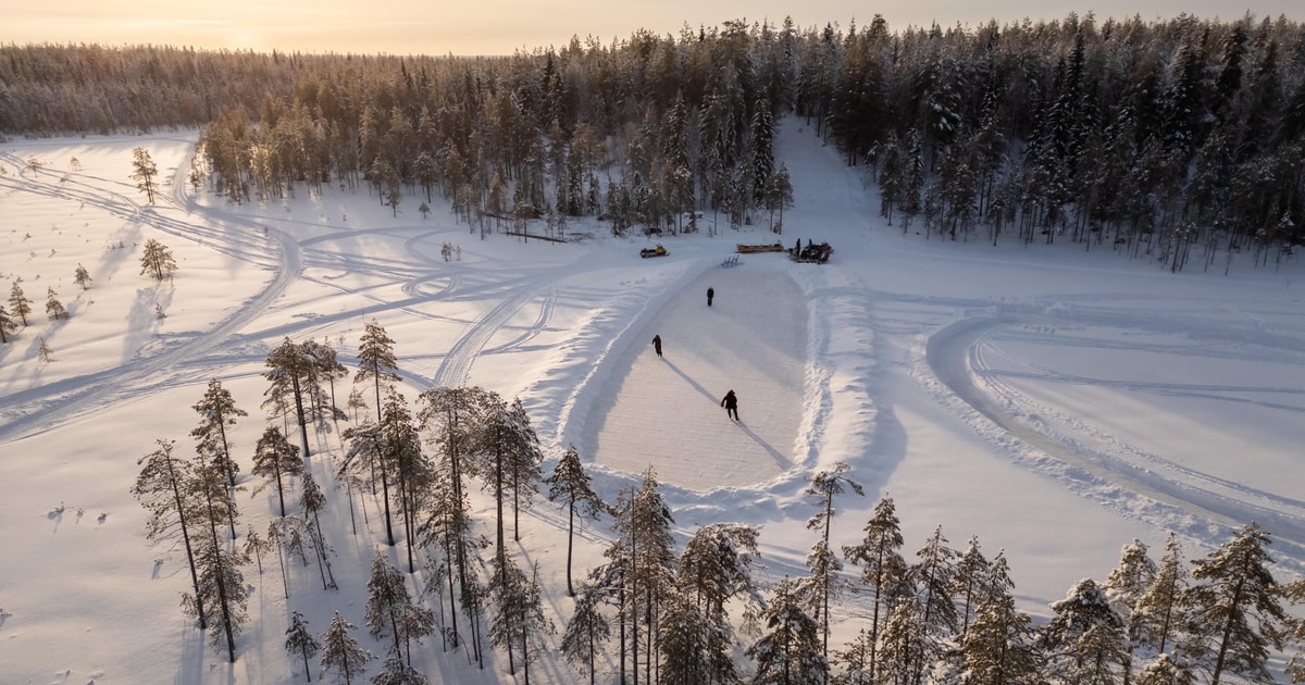 Ranua Wildlife Park & Lupland Activity Park from Rovaniemi | GetYourGuide