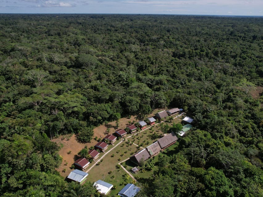 6-Day All Inclusive Guided Jungle Tour from Iquitos | GetYourGuide