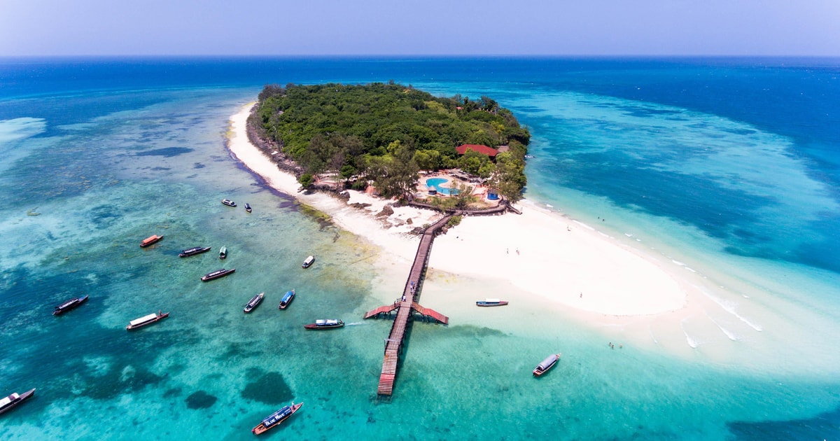 Zanzibar: Prison Island Tour from Town | GetYourGuide