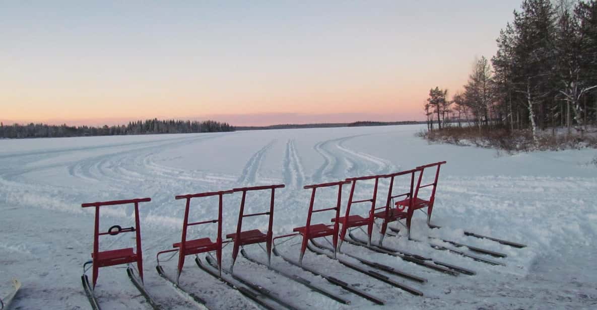 Levi Lapland: Kick-sledging and forest meditation & yoga | GetYourGuide