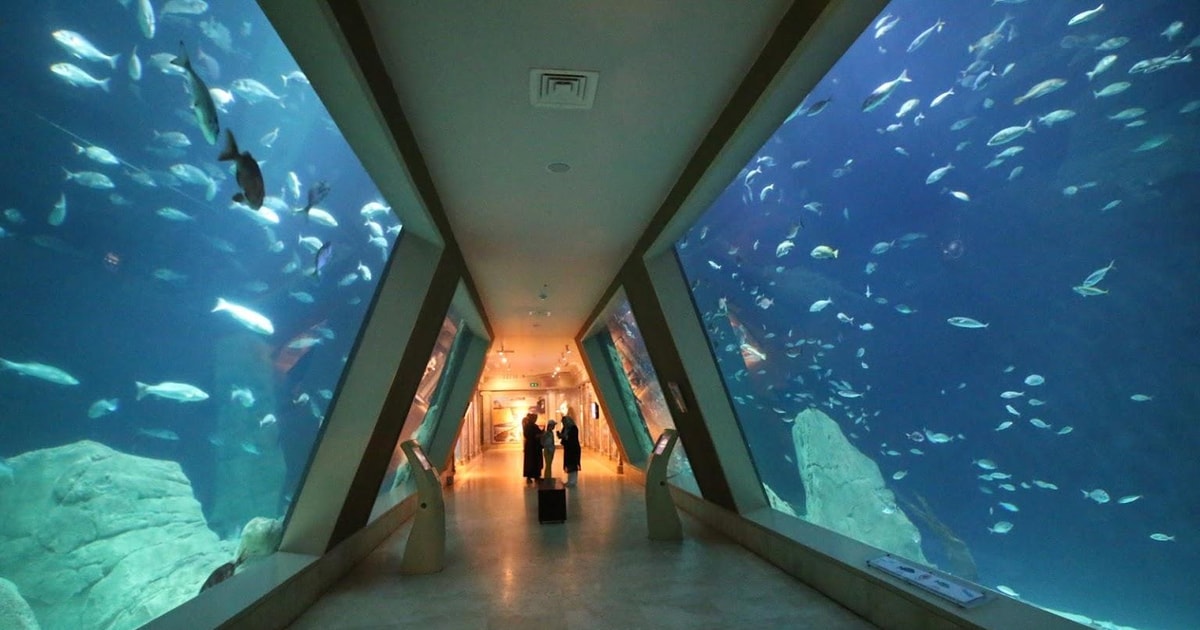 Istanbul: Aquarium Ticket and Round Trip Shuttle from Taksim | GetYourGuide