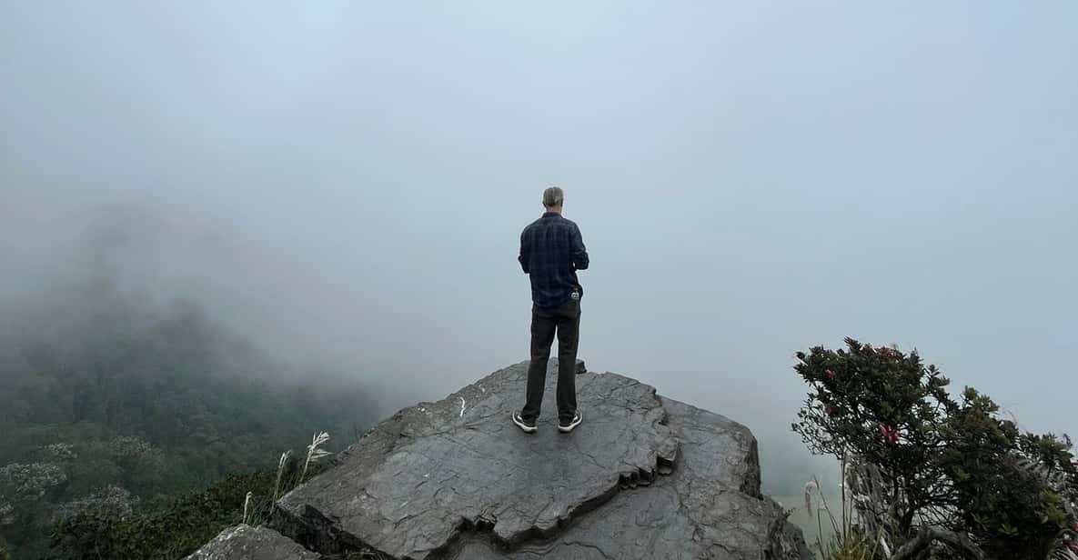 Bogota: Chicaque Cloud Forest Day Trip with Lunch | GetYourGuide