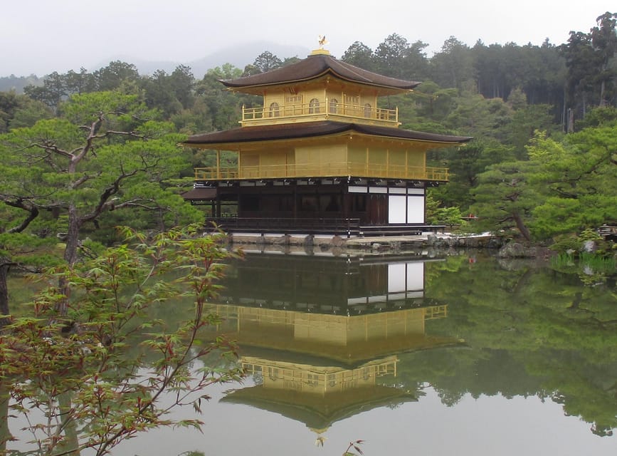 Kyoto: Pagoda d'oro, Bambù, Kiyomizu, "Geisya" (italiano) | GetYourGuide