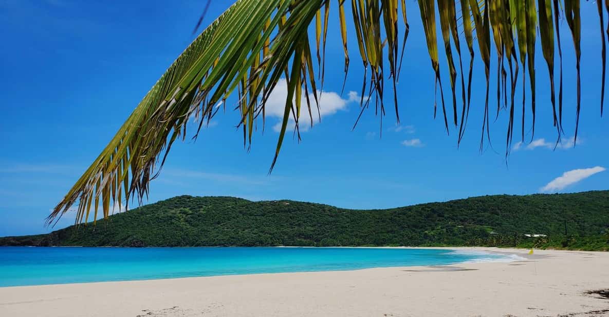 Culebra: excursión de un día sin guía con transporte desde San Juan ...