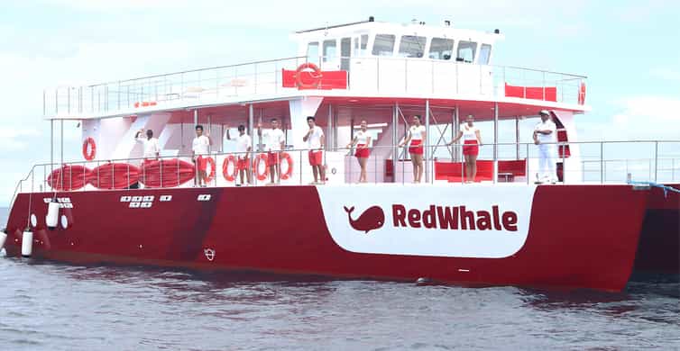 Red Whale | Boracay: Cruise, Music, and Water Activities | GetYourGuide