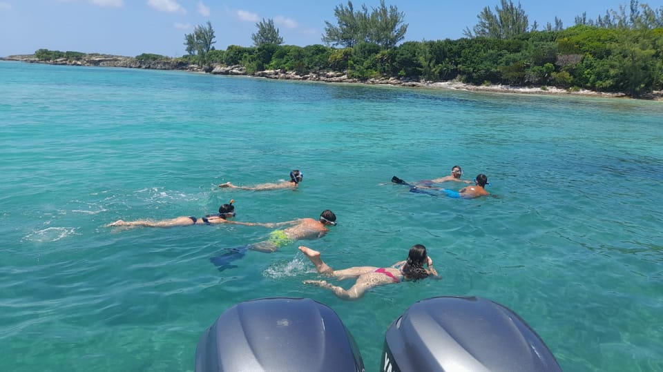 Nassau: Simning med grisar, snorkling och sightseeingtur | GetYourGuide