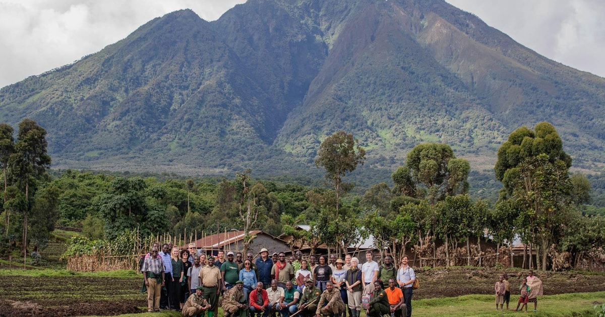 Rwanda: 1-Day Mount Gahinga Volcano Hike with Transfers | GetYourGuide