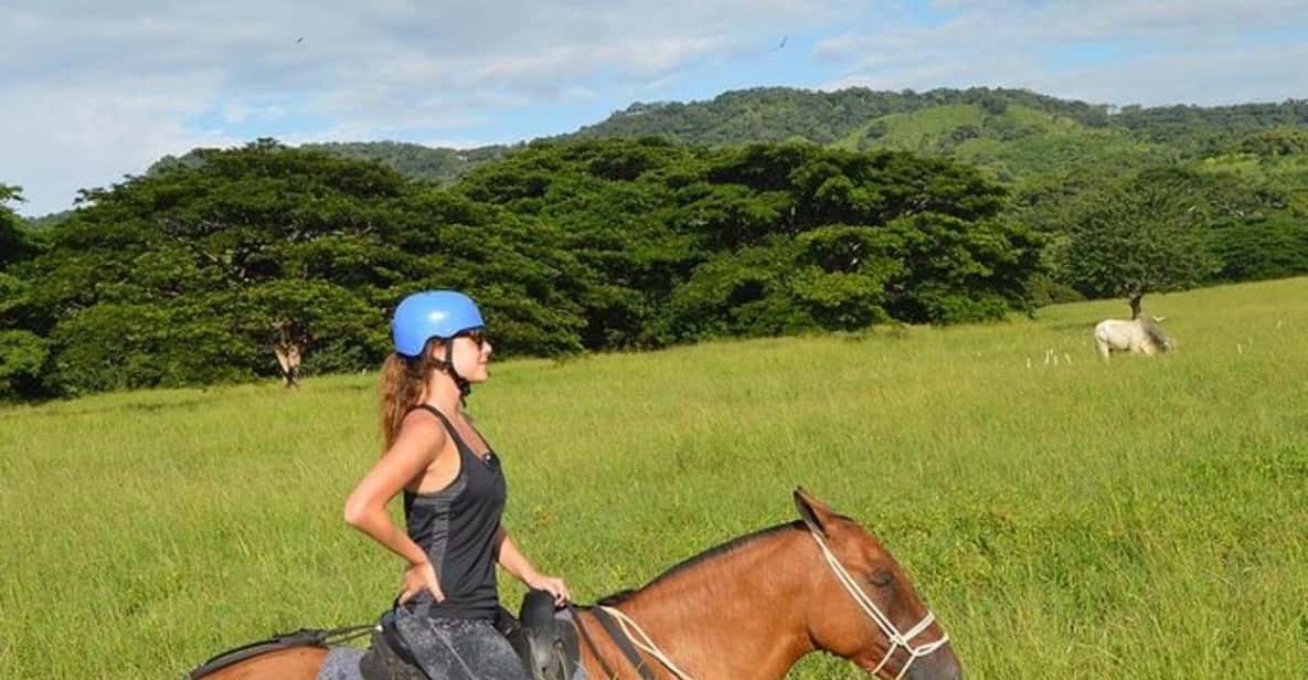 La Cruz, Guanacaste: True Horseback Ride Tropical Forest | GetYourGuide