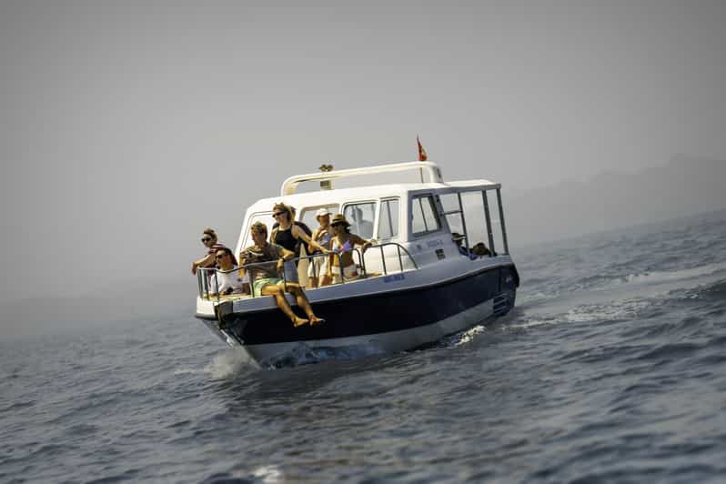 Muscat: Dolphin Watching Boat Trip with Snacks & Local Guide | GetYourGuide