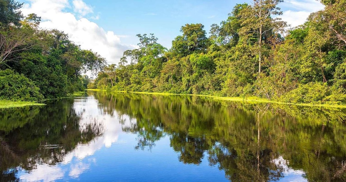 Desde Iquitos || Navega por el río Amazonas - Día completo ...