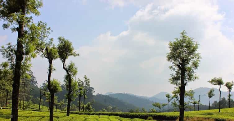 Exclusive Kerala Beauty, Munnar Hill Station Overnight Tour | GetYourGuide
