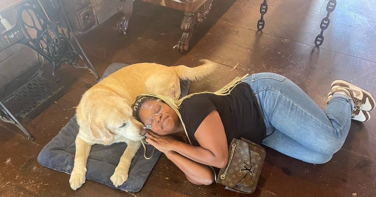 Branson Blitz Amazing Race & Tour | GetYourGuide