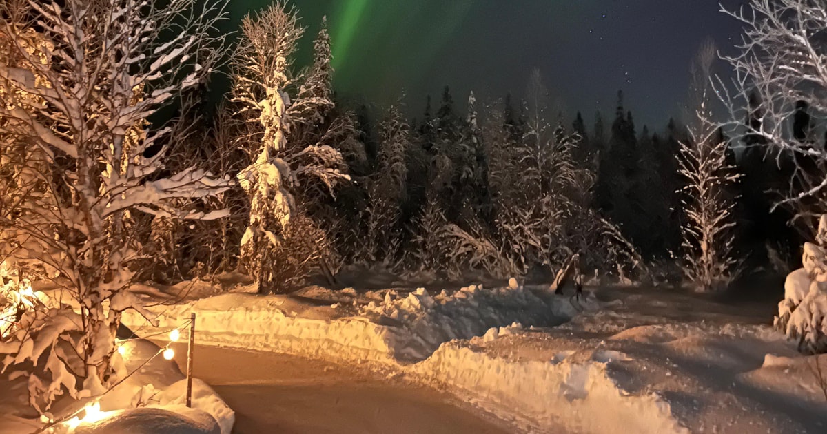 Levi: Lovimainas Arctic Forest Ice Skating (1km) | GetYourGuide