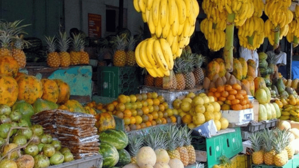 Half Day - Dominican Republic Cultural Tour Small Group | GetYourGuide