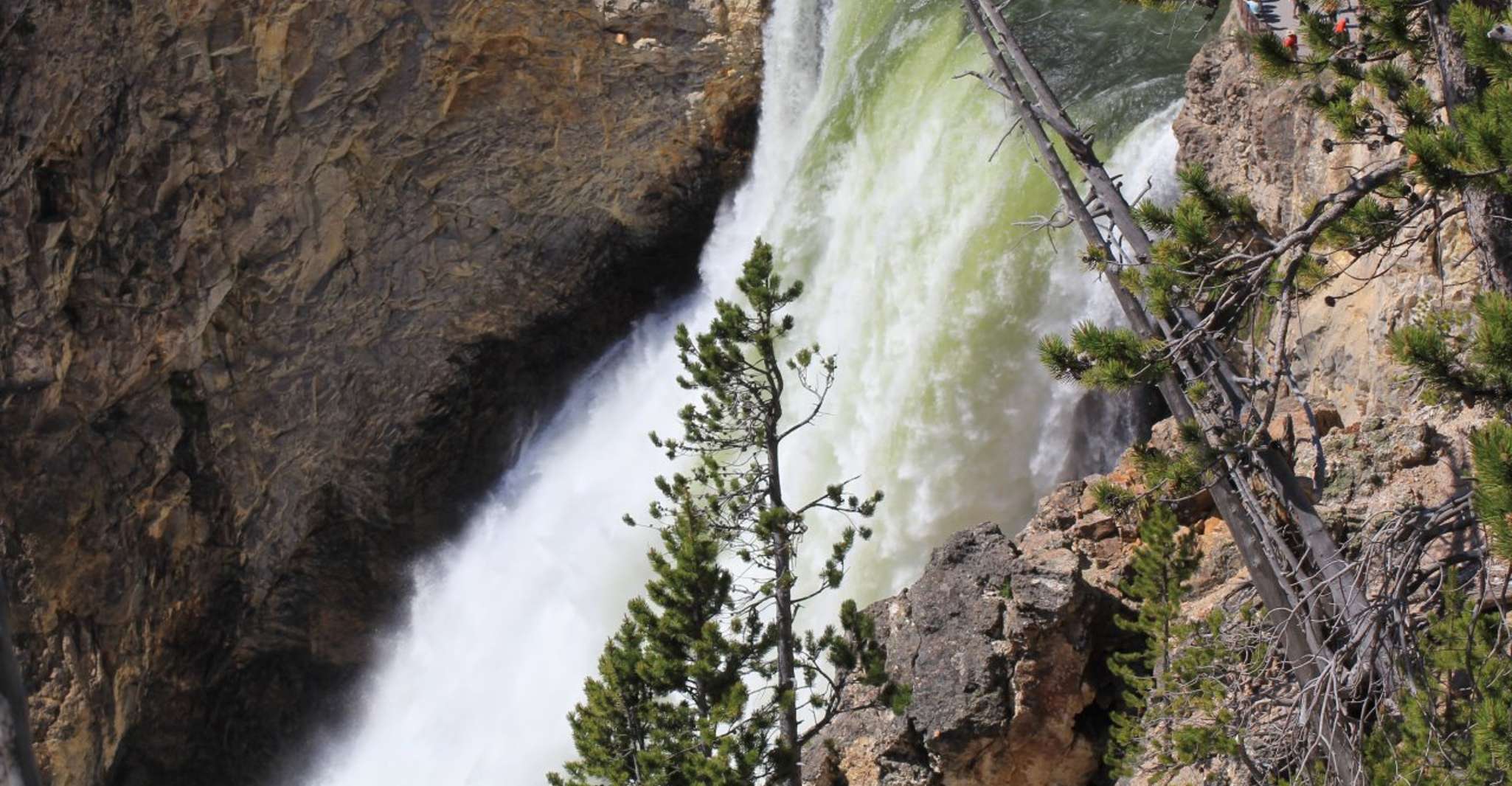 Jackson Hole, Yellowstone Lower Loop Upper Loop 2-Day Tour | Multi-day ...