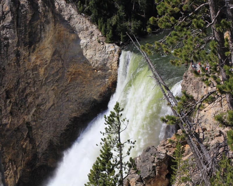 Jackson Hole: Yellowstone Lower Loop Upper Loop 2-Day Tour | GetYourGuide