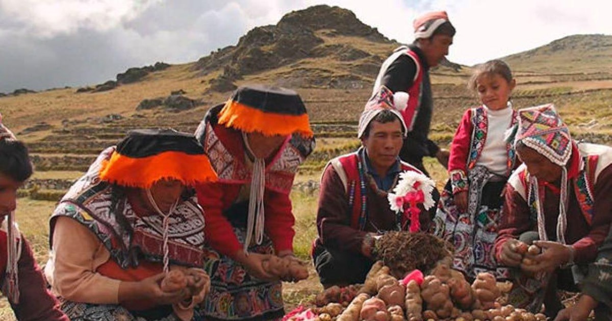 Half-day visit to the Potato Park - Paru Paru Community | GetYourGuide