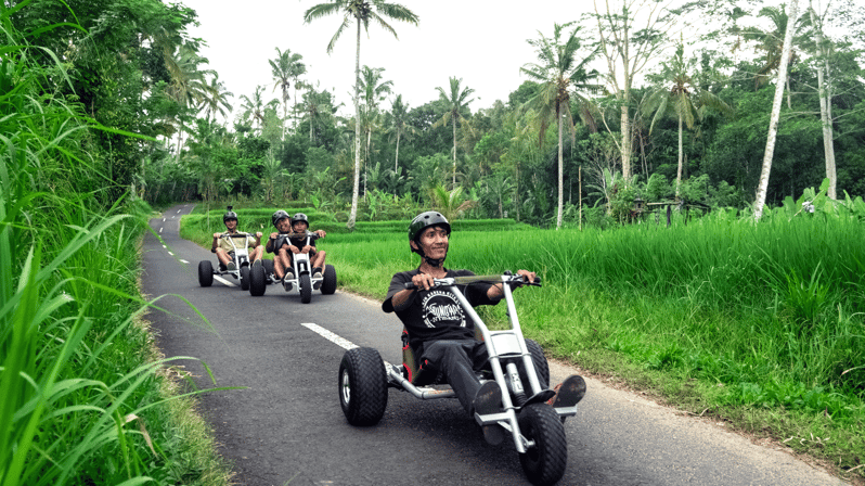 The BEST Ubud Electric cars 2024 - FREE Cancellation | GetYourGuide