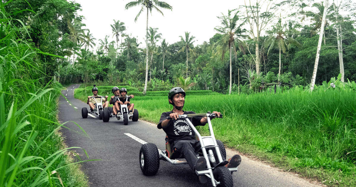 Ubud: Mario Jungle Kart Eco Gokart Adventures | GetYourGuide