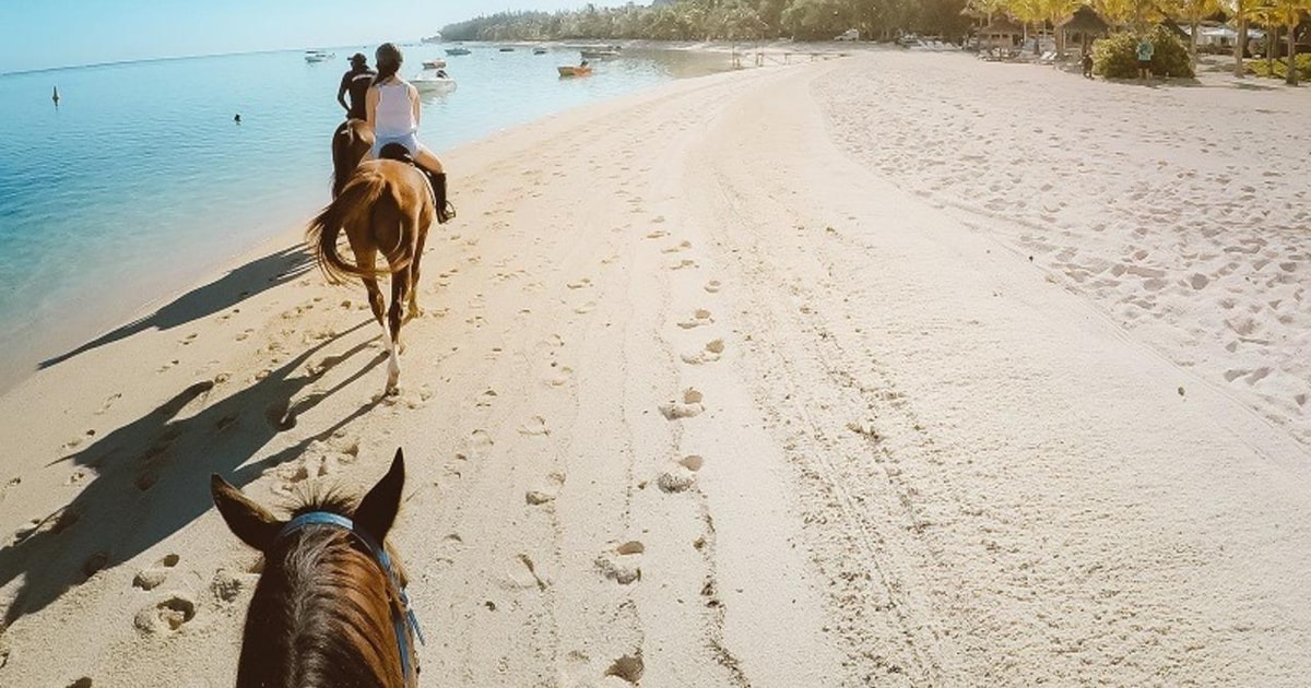 Hurghada : Two Hours Sun & Sea Horse Riding With Transfers | GetYourGuide