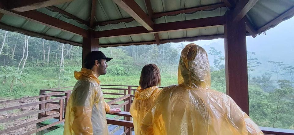 Yogyakarta : Java Rice Terrace Trek & Selogrio Temple Tour | GetYourGuide