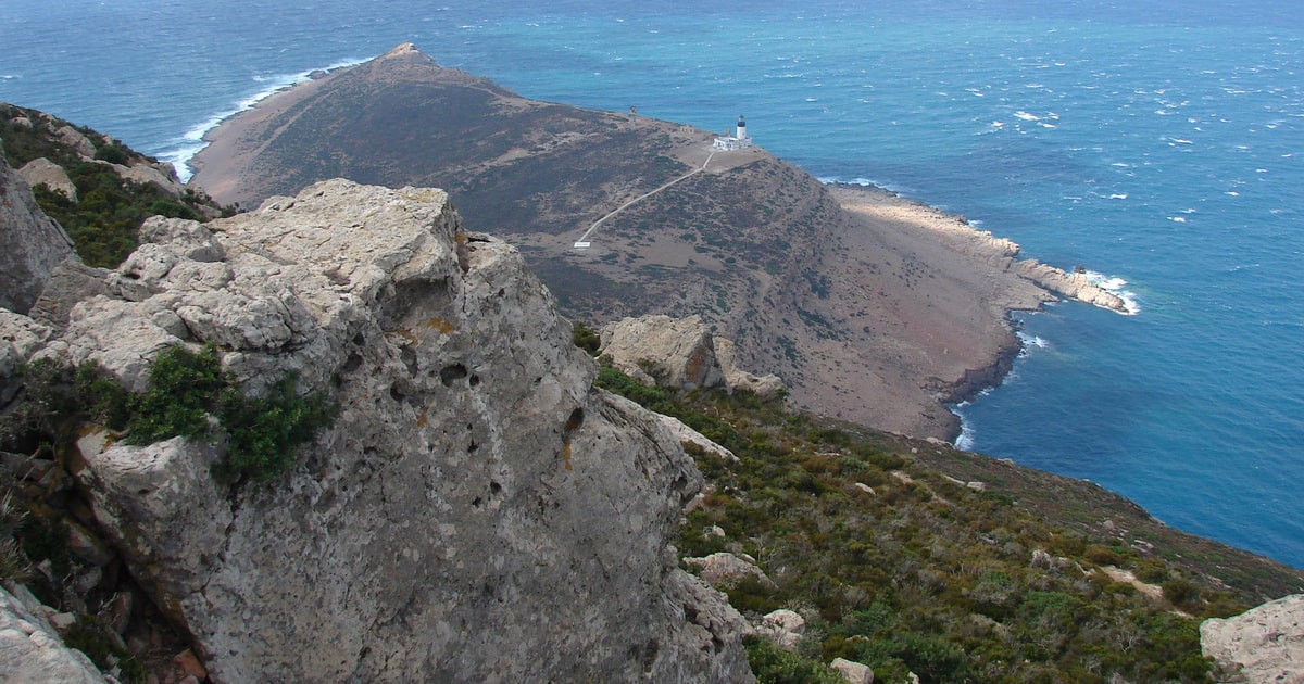 Day Trip to Cap Bon – Full-Day Excursion to Cap Bon | GetYourGuide