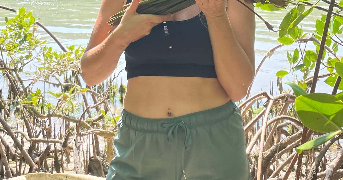 Ecotourism: Mangrove Reforestation & Tour | GetYourGuide