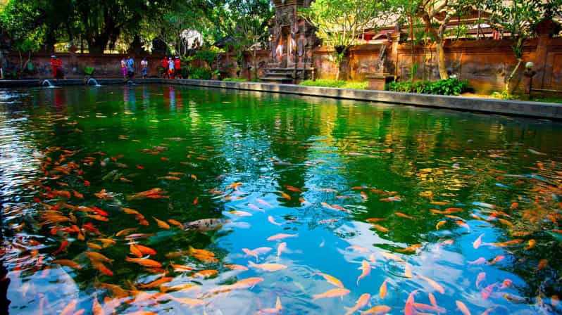 Ubud Tour : Explore the best places in Ubud Area. | GetYourGuide