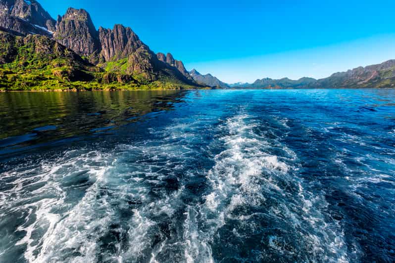 Lofoten Islands: Silent Trollfjord Cruise | GetYourGuide