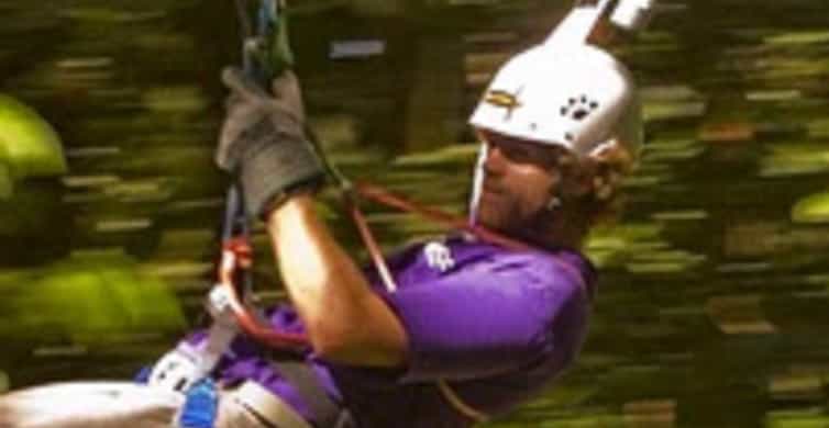 Rainforest Zipline Mystic Mountain trip | GetYourGuide