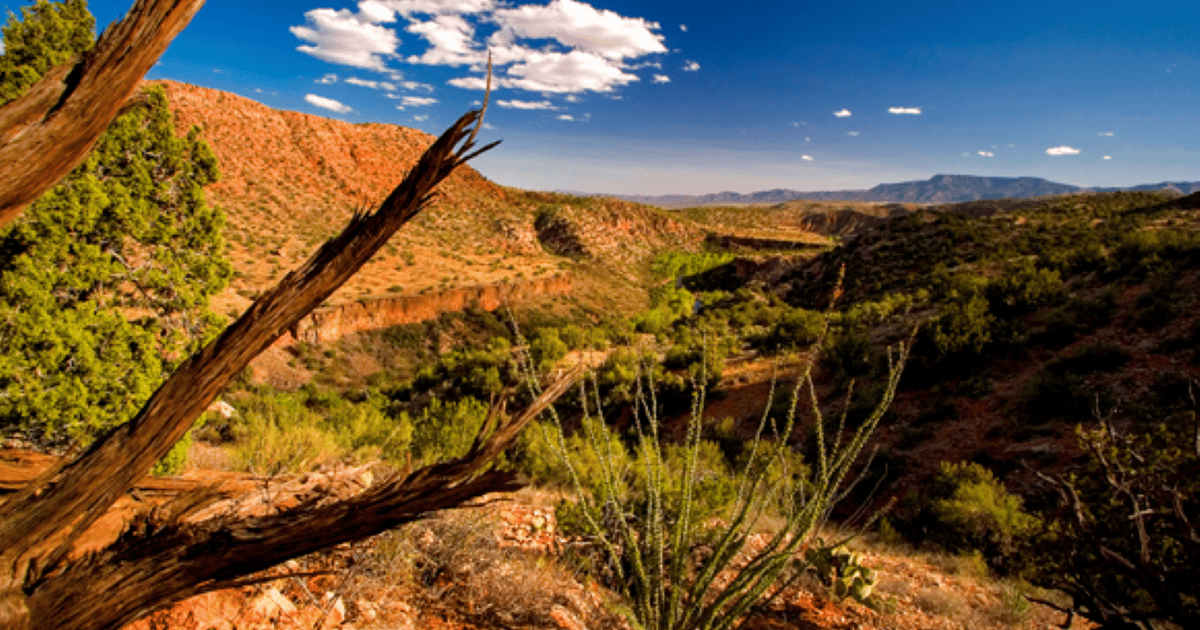 Prescott: Copper Canyon Hummer Tour | GetYourGuide