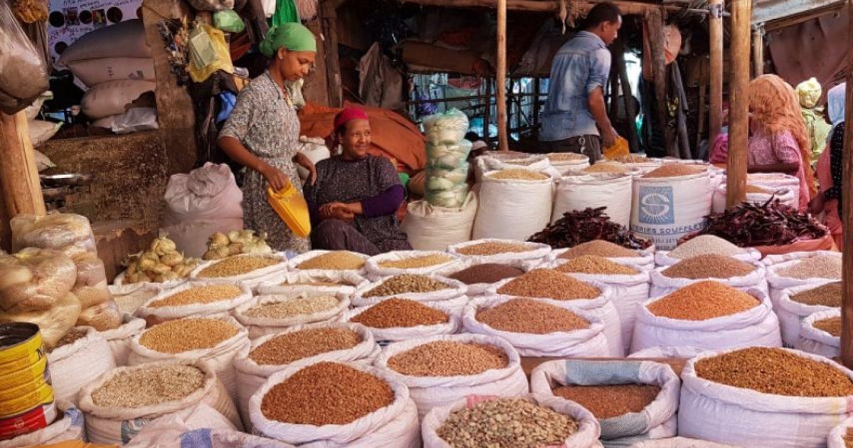 City tour in Addis Abeba | GetYourGuide