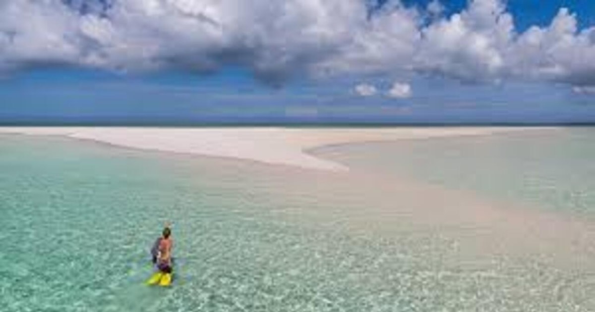 Jozani Forest and Nakupenda SandBank with lunch | GetYourGuide