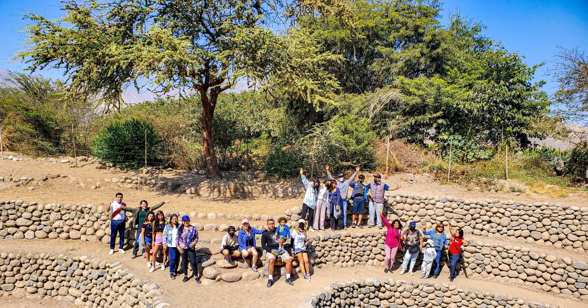 Desde Lima: 2 Días Líneas de Nazca, Paracas Ica Huacachina | GetYourGuide